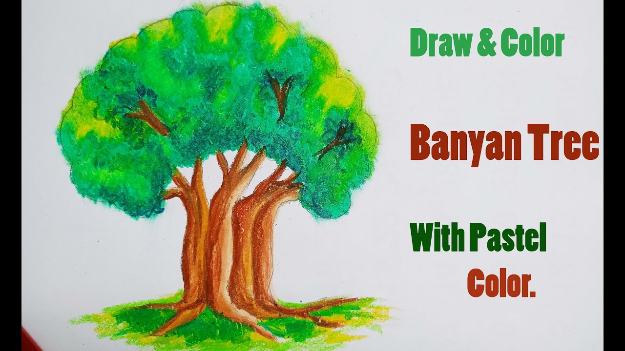 Drawing Banyan Tree simple| draw Banyan Tree| Drawing Tree| art tree ...