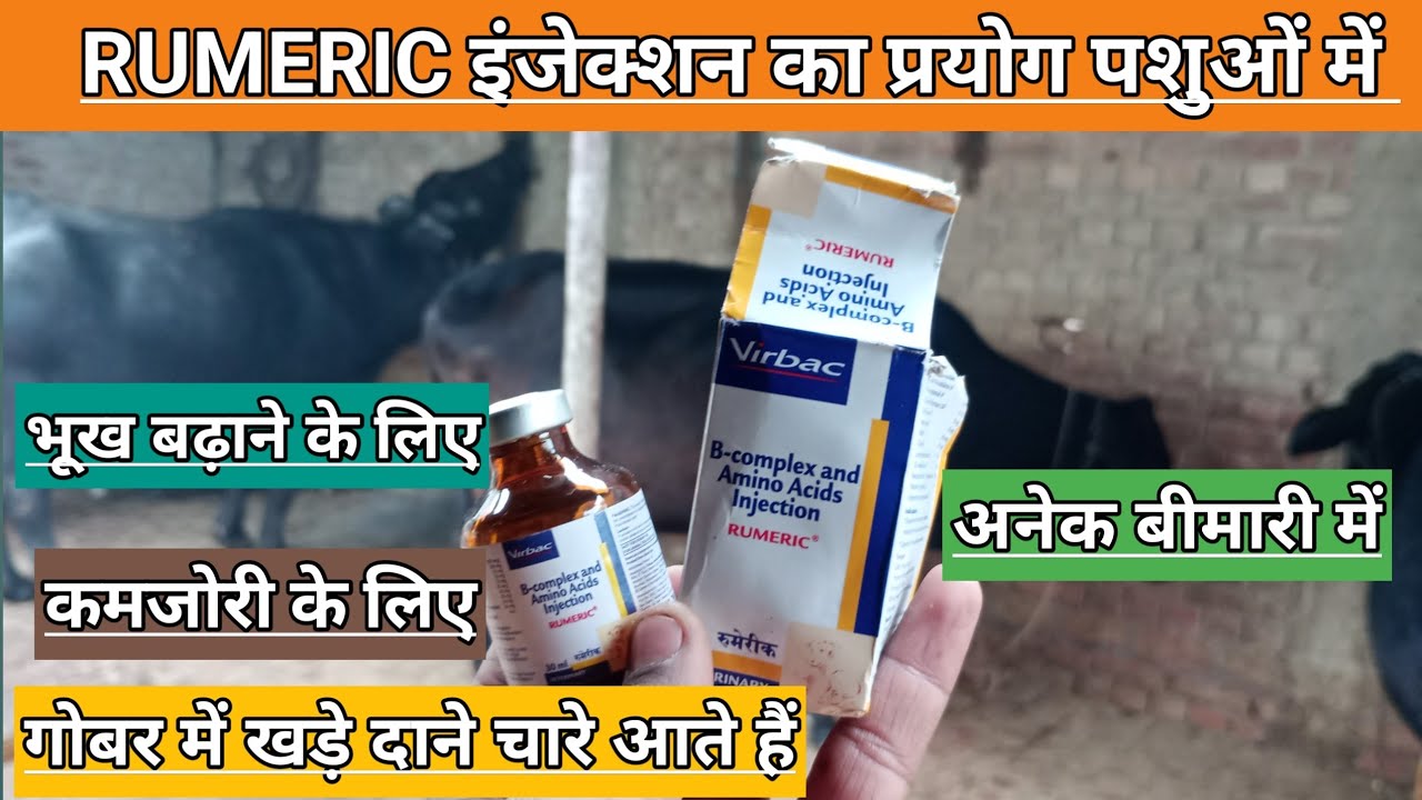 Use Veterinary RUMERIC Injection || पशु का भुख बढ़ाएं कमजोरी दूर करें ...
