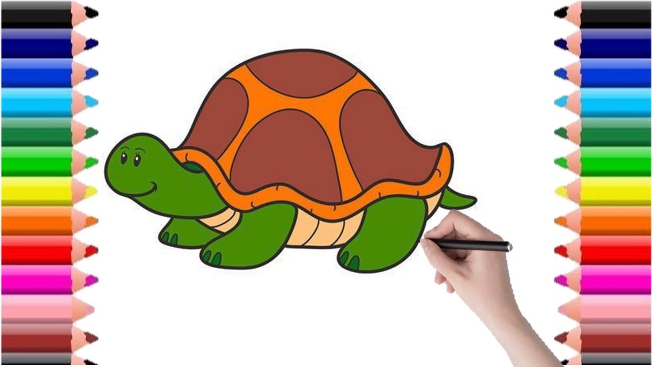 How to Draw & Color Tortoise for Kids | Step by Step Tutorial Tortoise ...