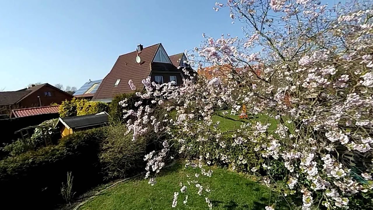 Kirsche - YouTube