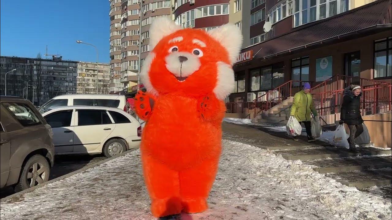 Костюм панды красный - YouTube