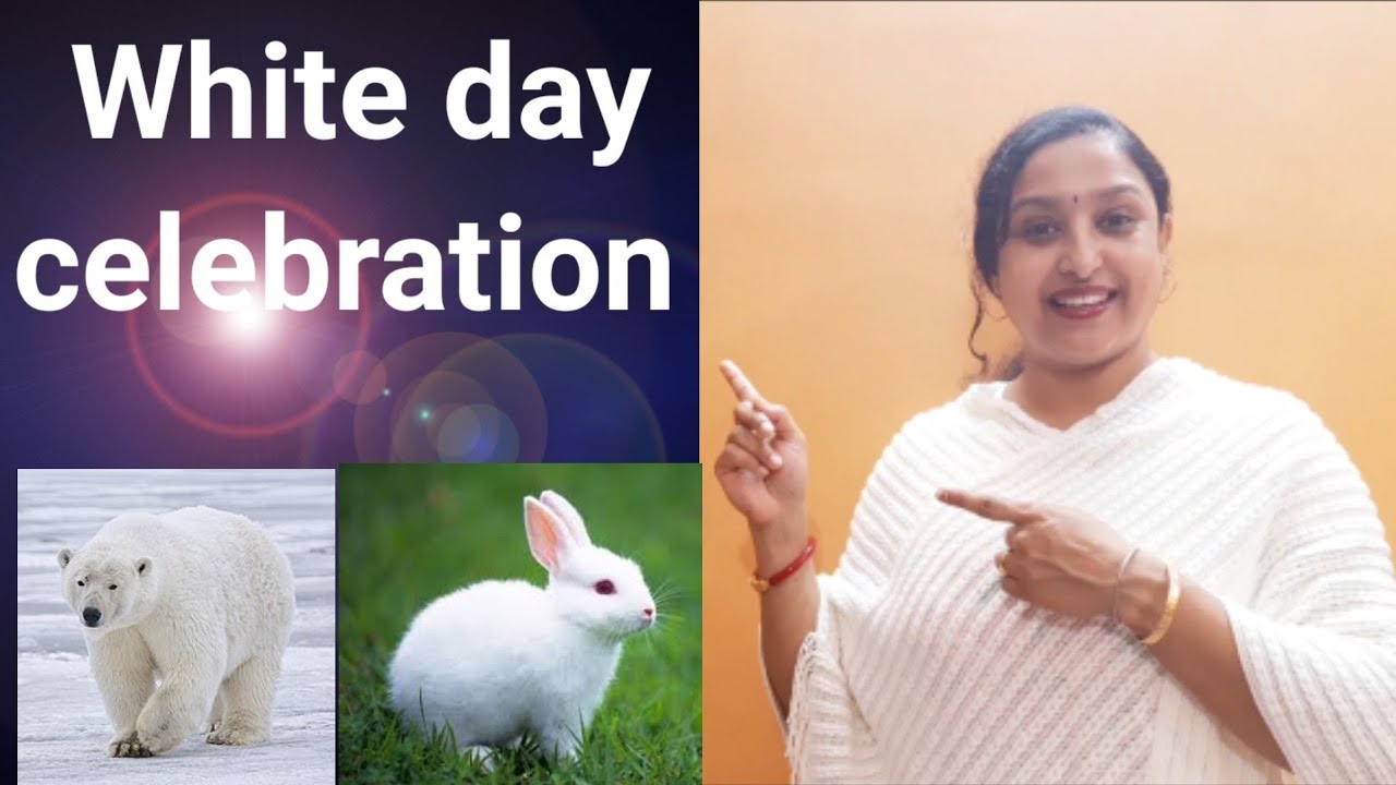 Learnign about white color/ White day celebration - YouTube