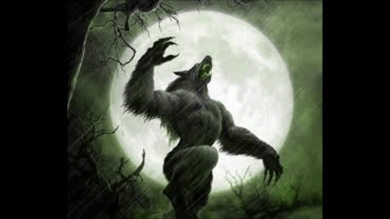 Werewolf Tribute Animal - Disturbed - YouTube