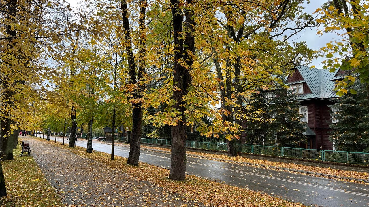 Travel Guide! Rabka-Zdroj in 2023! Things to See & Do in Rabka, Poland ...