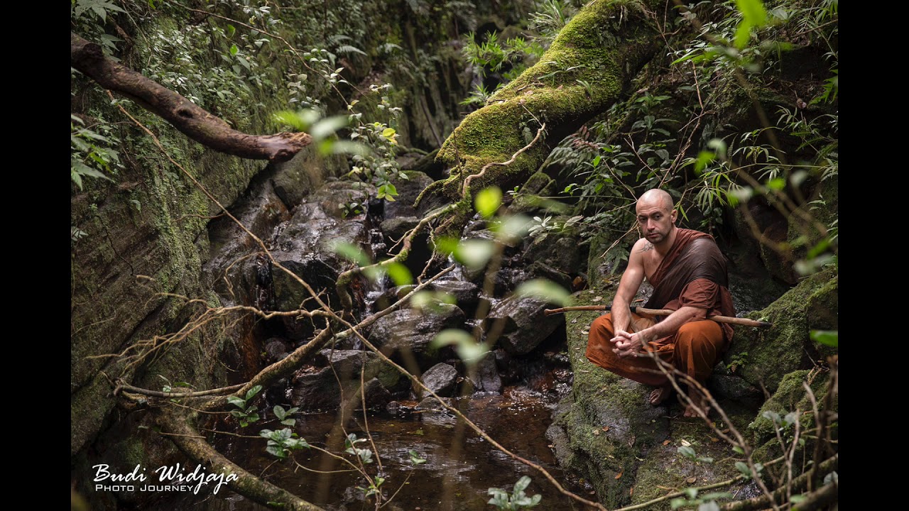 life of the forest monk - YouTube