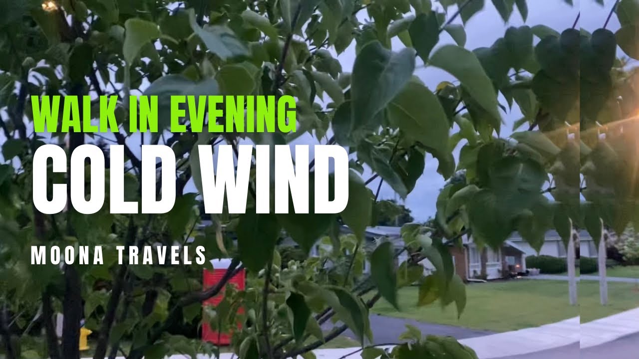 Walk in Evening/Cold wind blowing in Ottawa/ - YouTube