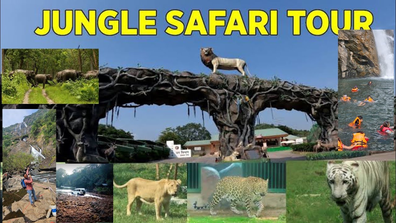 Goa Ka Jungle Safari !! Goa का जंगल सफारी 🫰 - YouTube