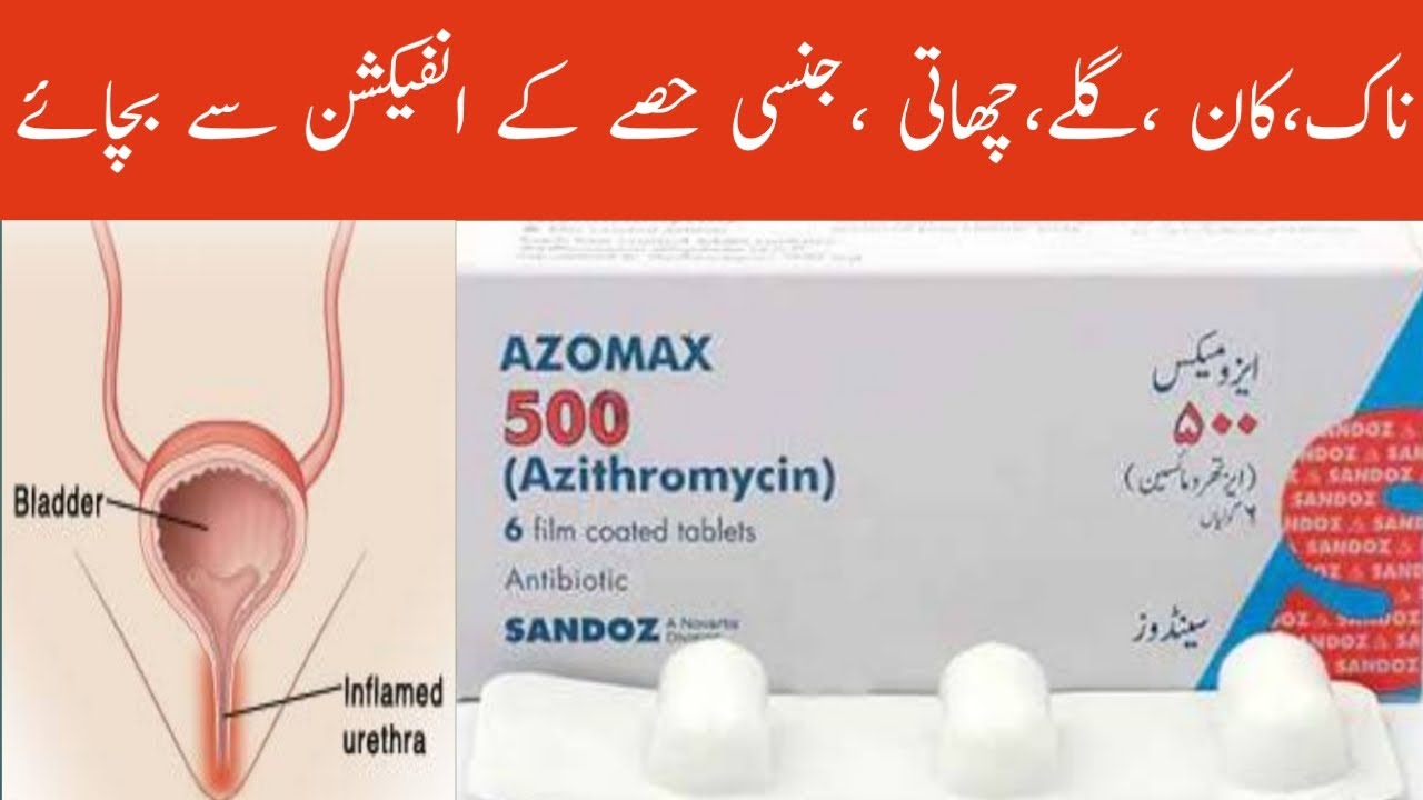 Azomax 500mg Tablet Uses | Azomax Azithromycin 500 mg | Azithromycin ...