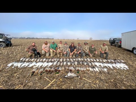 91 Bird Field Duck Hunt With a Band in Dense Fog!! - YouTube