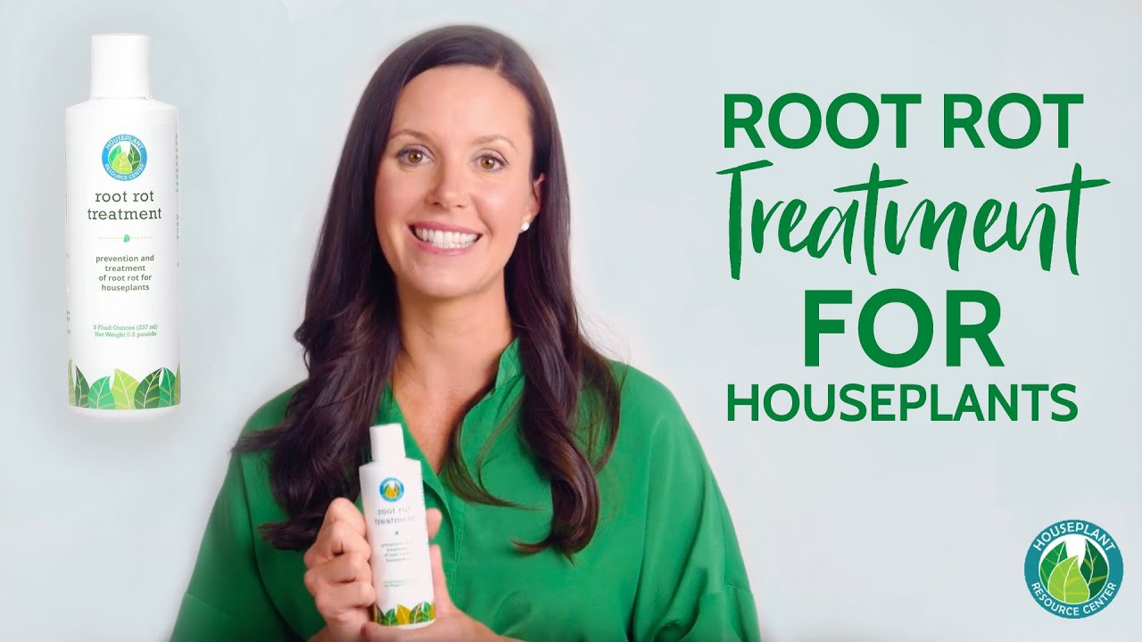 Why We Created Root Rot Treatment and How it Works | Houseplant ...