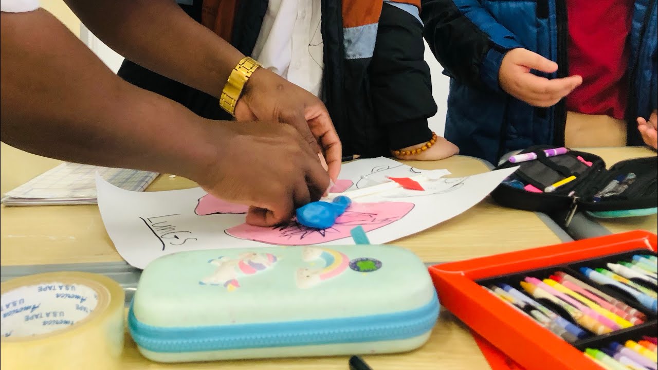 The Respiratory system/ Lungs Model making for kids /School project ...