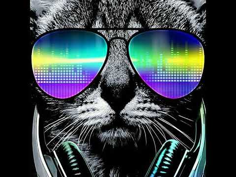 Andre Hamilton Live Stream - YouTube