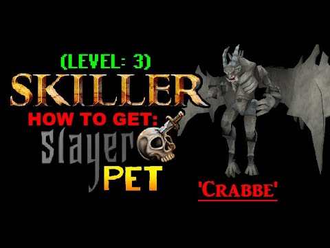 9HP - How to get Slayer Pet 'Crabbe' as lvl 3 Skiller | RS3 - YouTube