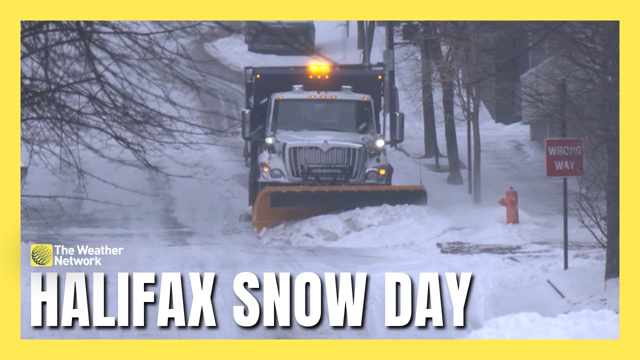 Halifax Shuts Down Amid Heavy Snowfall - YouTube