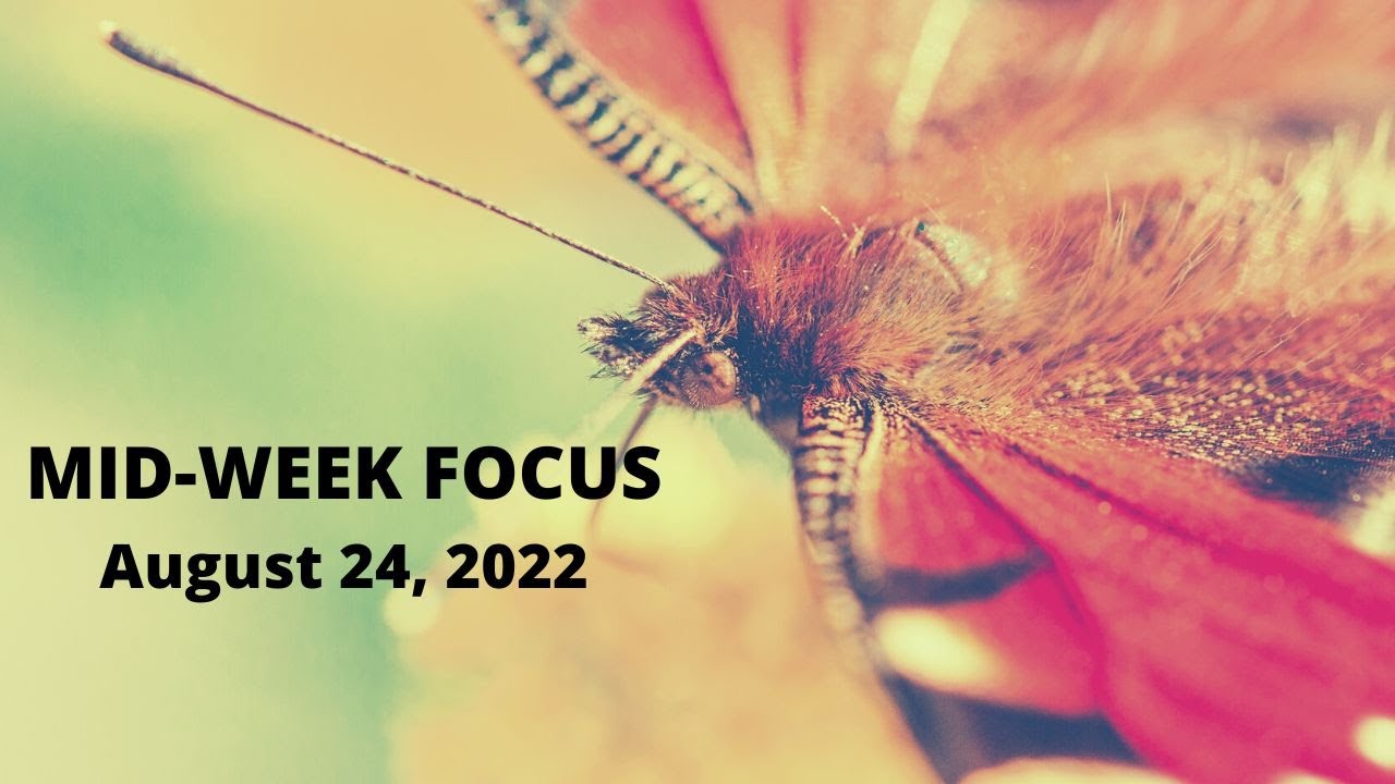 MID WEEK FOCUS August 24, 2022 - YouTube