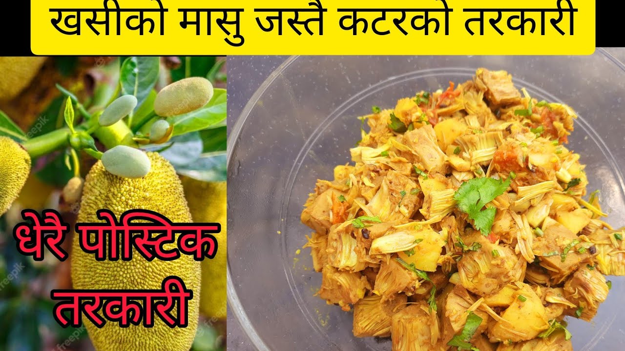 खसीको मासु जस्तै कटरको तरकारी बनाउने तरिका || Katahar ko Tarkari ...