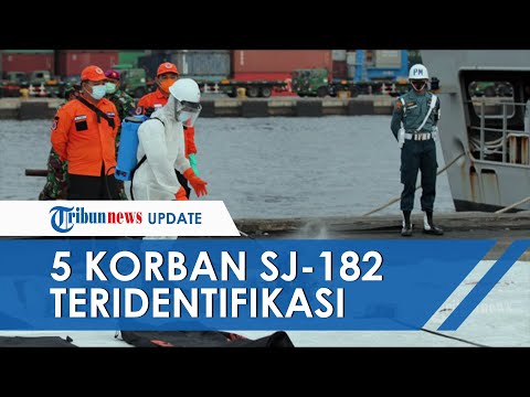 Lima Korban Sriwijaya Air SJ-182 Teridentifikasi, Satu Diantaranya Bayi Usia 11 Bulan