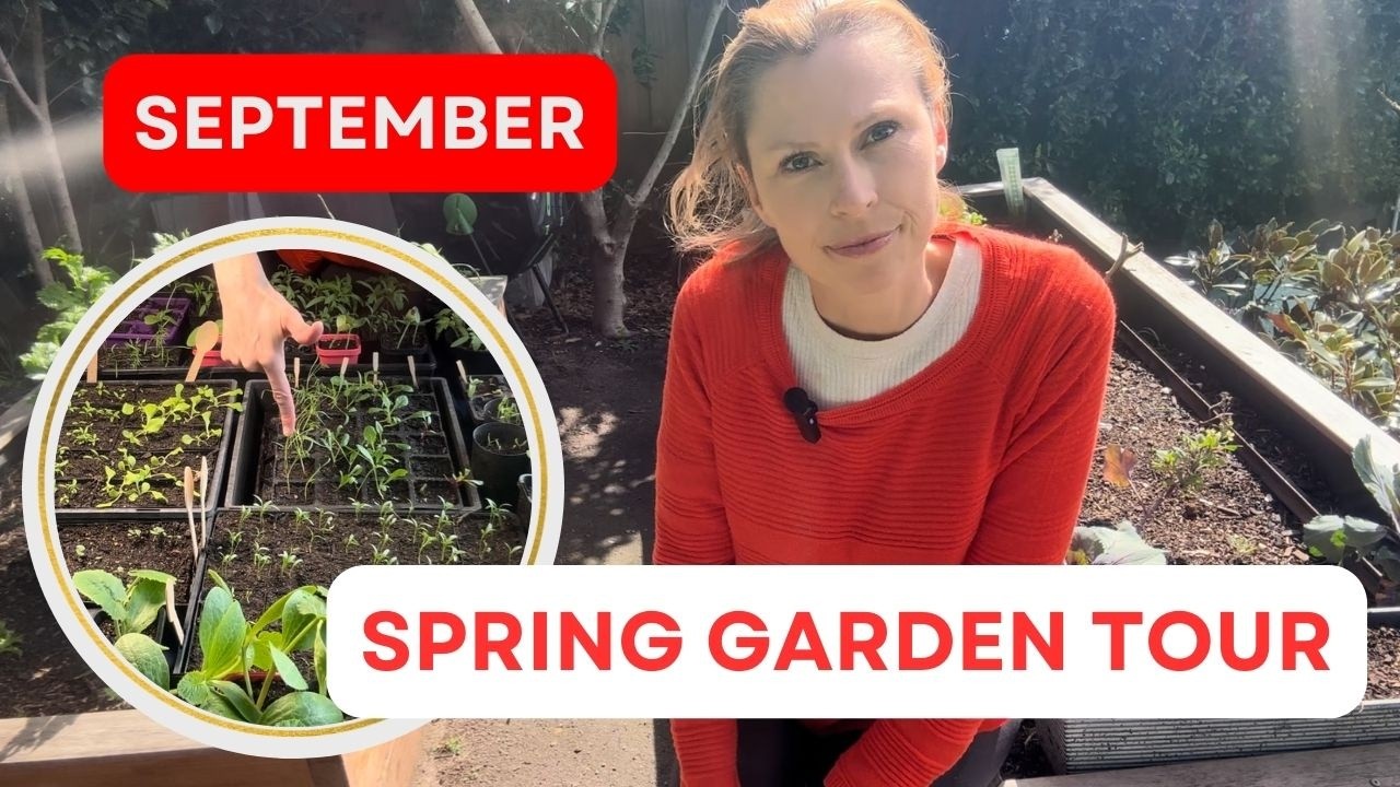 FULL GARDEN TOUR - September! Plus SPRING SEEDLING update - what to ...