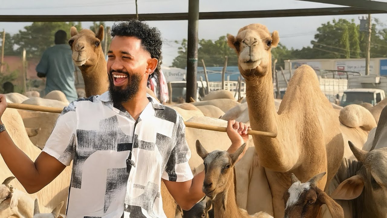 Sidee Lo Kala ibsada Xoolaha🐄🐪🐐 || Suuqa Xoolaha Ugu weyn Bariga Afrika ...