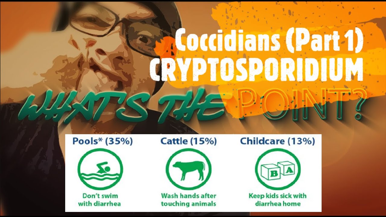 COCCIDIANS (Part 1 of 4) - CRYPTOSPORIDIUM - YouTube