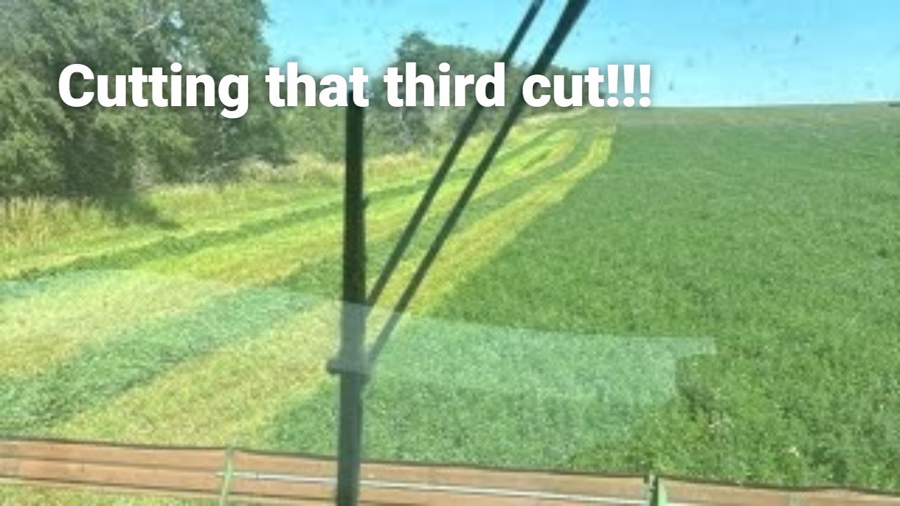 Cutting Third-Cut Alfalfa - YouTube