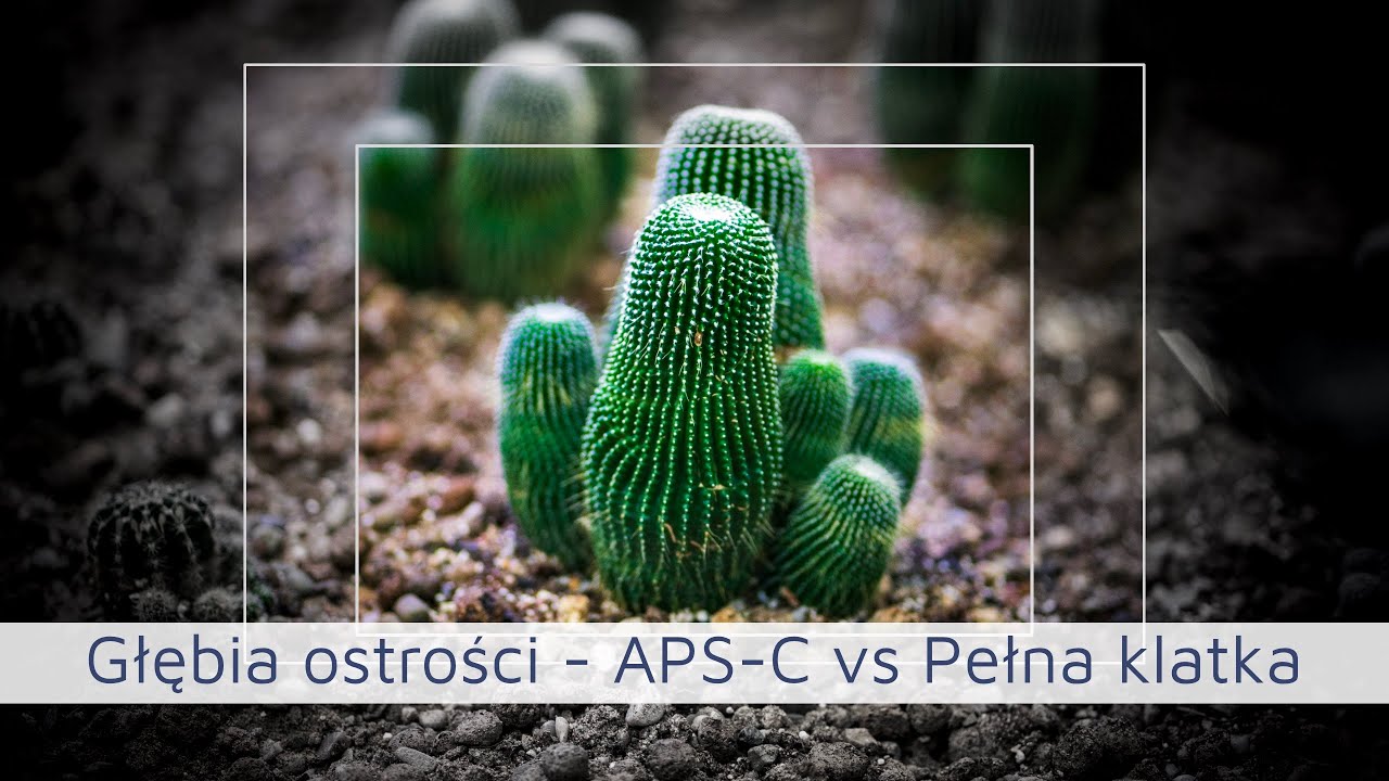 Głębia ostrości APS-C vs Pełna klatka - Jaka jest prawdziwa różnica ...