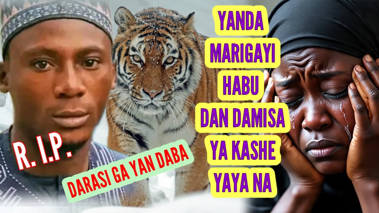 Darasi a mutuwar habu dan damisa rikakken dan daba a kaduna. - YouTube