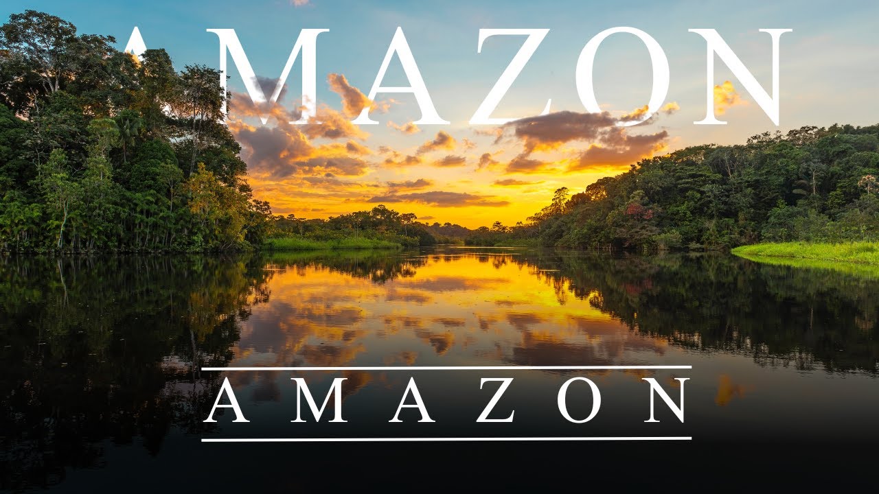 Nature of Amazon Rainforest | Explore the World - YouTube