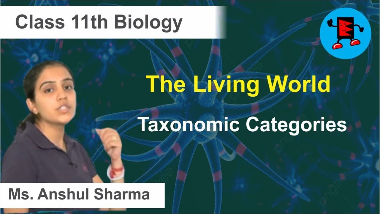 CBSE Class 11 Biology The Living World Taxonomic Categories |Extraminds ...