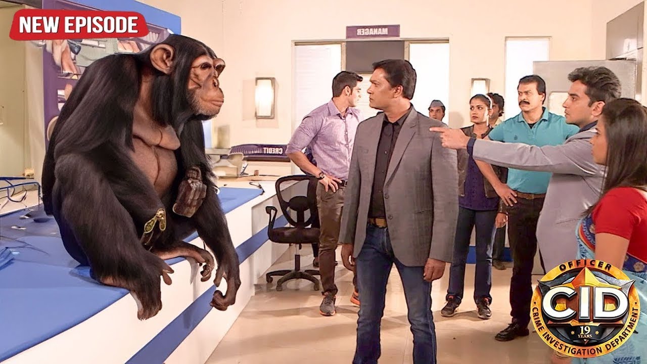 CID Team को है एक Monkey Man की तलाश | Best Episode | Best Of CID ...