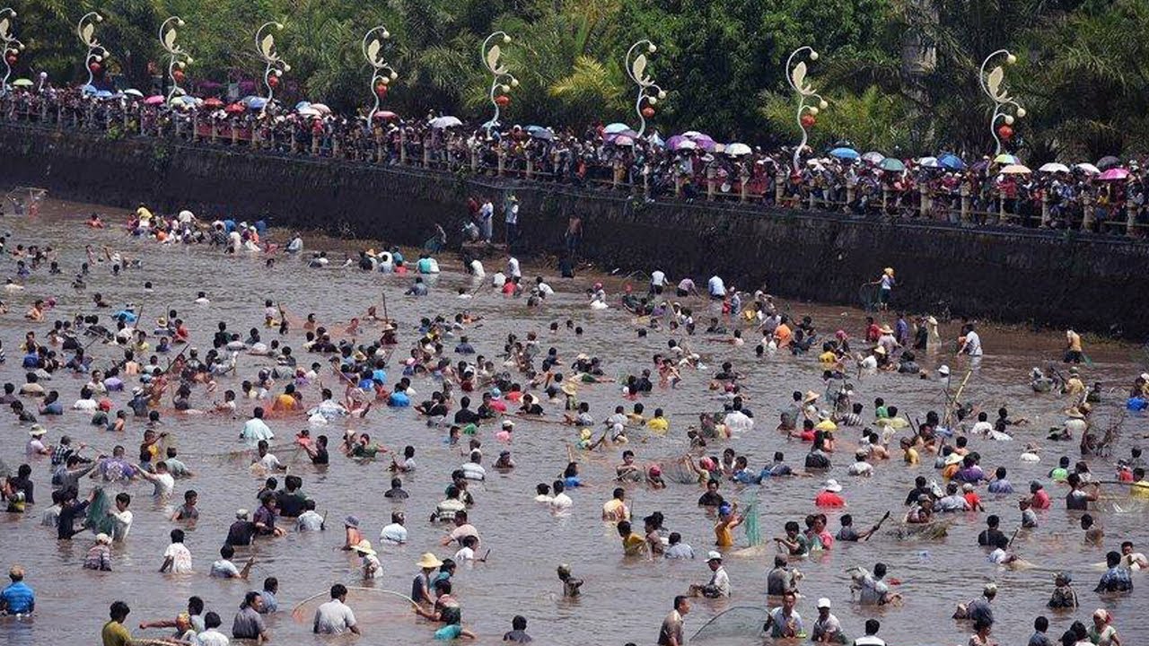 Traditional Fish festival catching in Pond - YouTube
