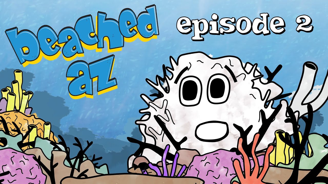 Beached Az: Bleached Az | Episode 2 - YouTube