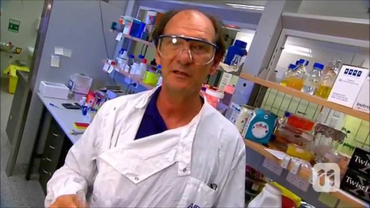 DNA Testing YouTube dna-testing-youtube