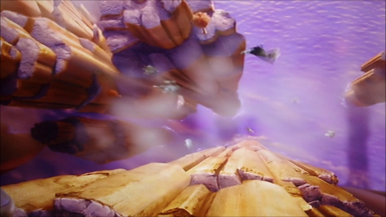 BALD BALD MY EYES - YouTube