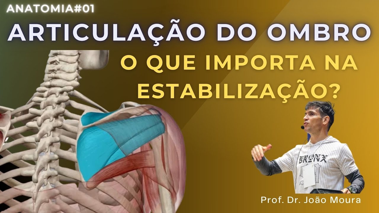 Anatomia Da Articulacao Anterior Do Ombro Anatomia Do Ombro: Ossos,