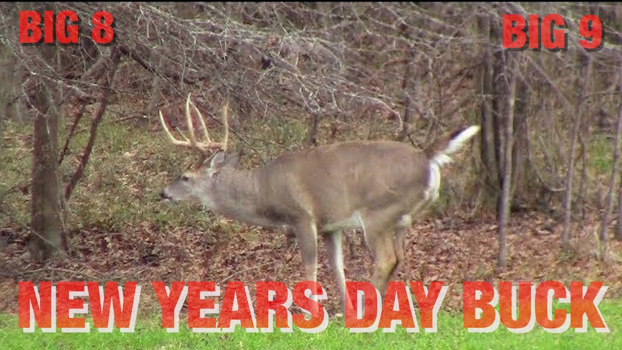 Two GIANT Alabama Bucks, Pre-Rut in Alabama | LONGTINE OUTDOORS - YouTube
