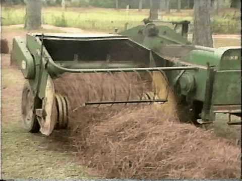 In Action: Texas Pine Straw - Baling - YouTube