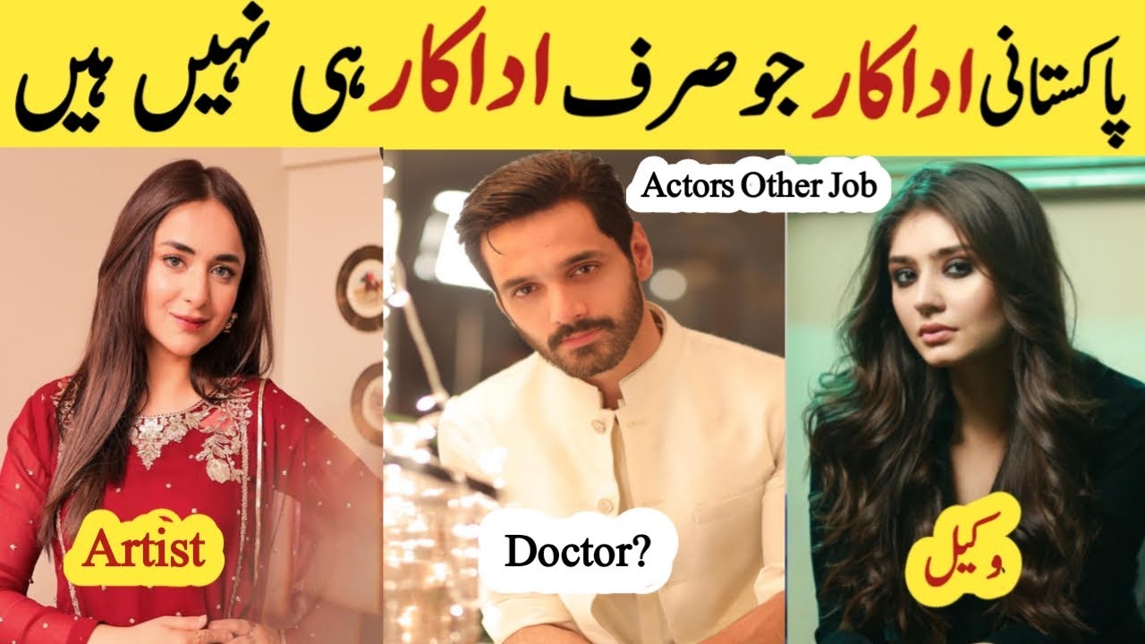 Pakistani Celebrities Who Are Doctors, Teacher, Businessmen | Actors ...