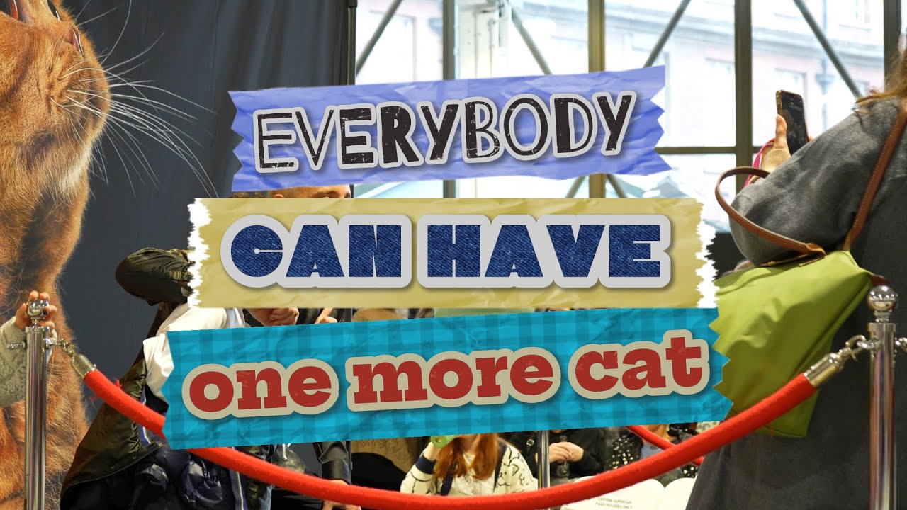 Everyone can have one more cat w/ Steven Meserve EP1 - Gizzi Erskine ...