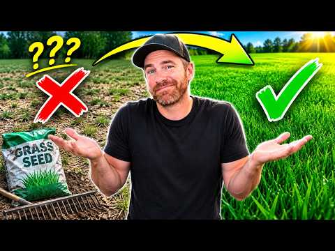 Why Don’t More People Seed Grass Like This?
