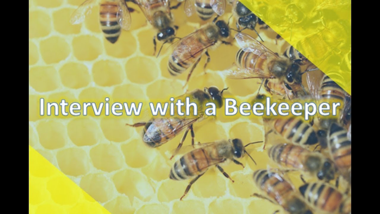 Interview with a Beekeeper - YouTube