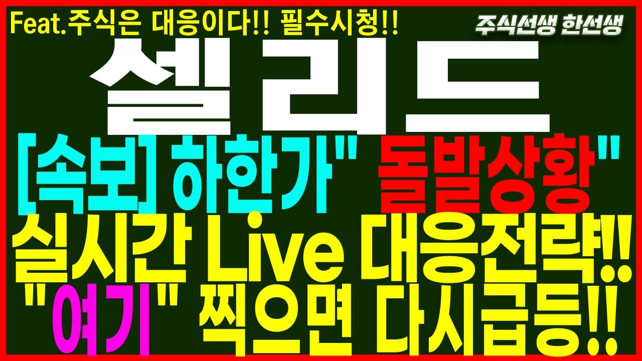 셀리드 속보 하한가 돌발상황 실시간live 대응전략은 여기 찍으면 다시 급등 셀리드 셀리드주가 셀리드주가전망
