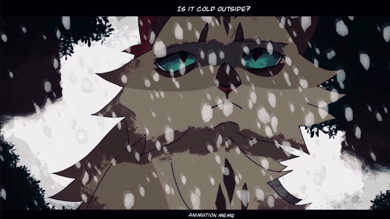 Is it cold outside? || warrior cat ocs - animation meme - YouTube