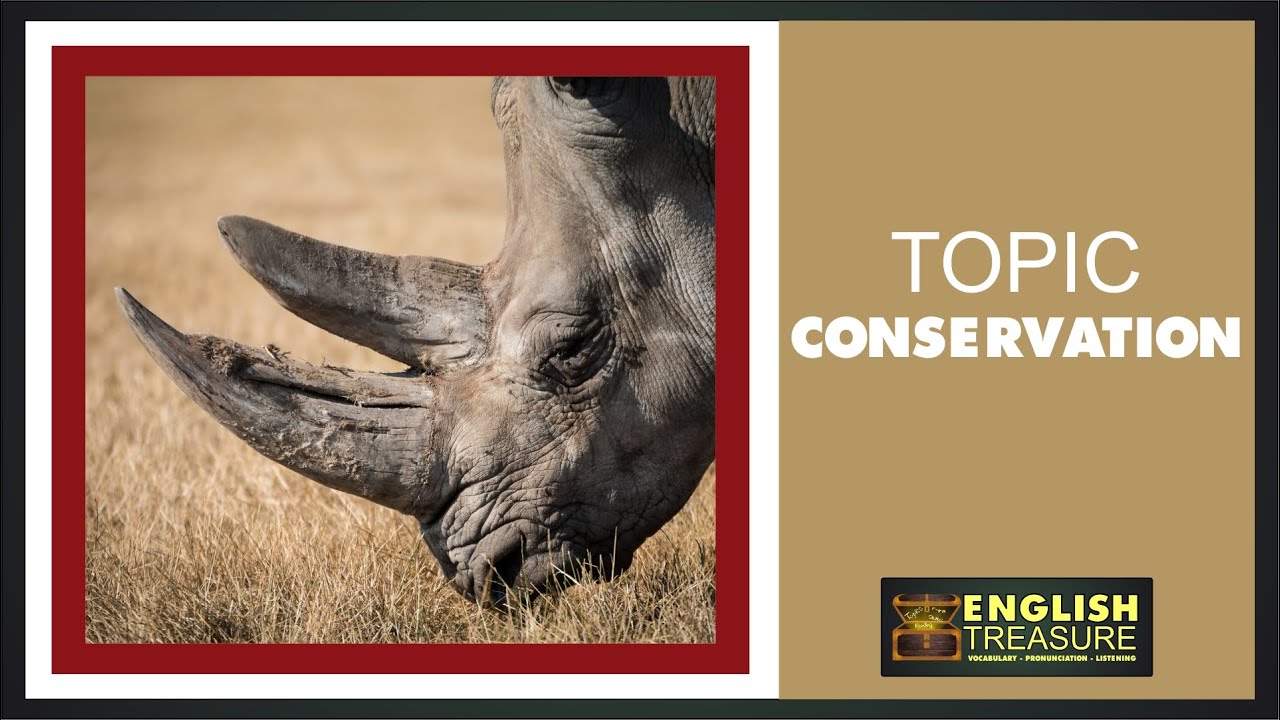 Conservation: English Treasure - Vocabulary, Listening, Pronunciation ...