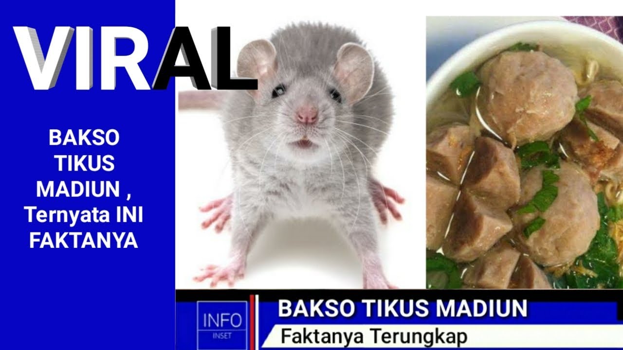 VIRAL BAKSO TIKUS MADIUN ini Faktanya | 2020 - YouTube