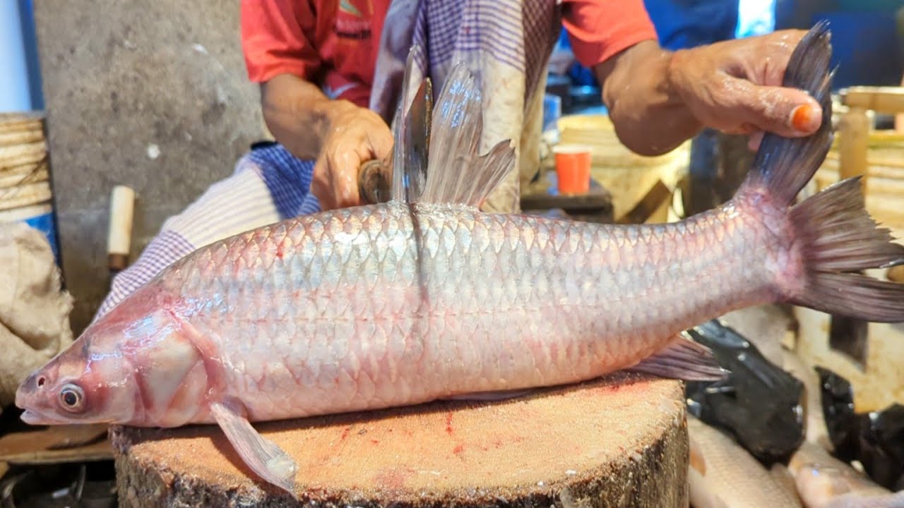 Amazing Grass Carp Fish Cutting Skills In Bangladesh Fish Market By ...