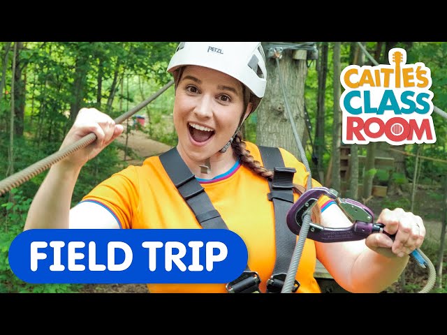 Caitie's Classroom Field Trip | Treetop Challenge! | Will Caitie ...
