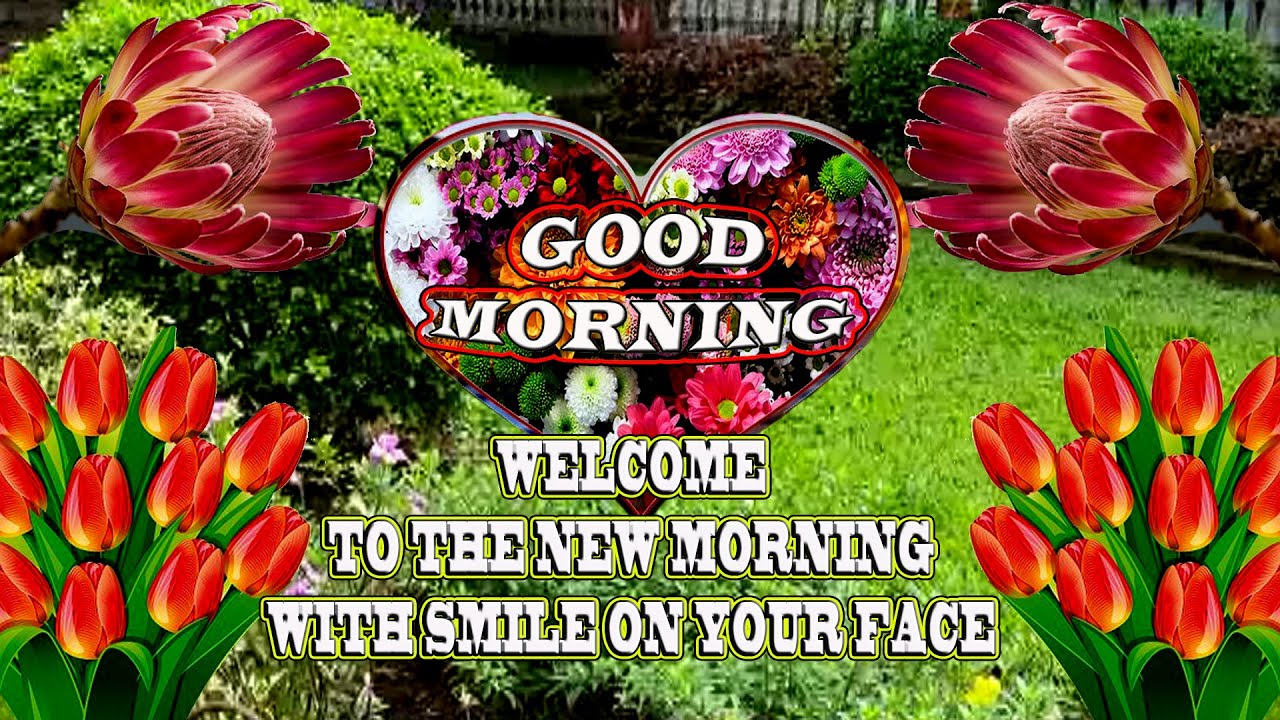 904 Good Morning | Welcome to the new Morning with smile on your face ...