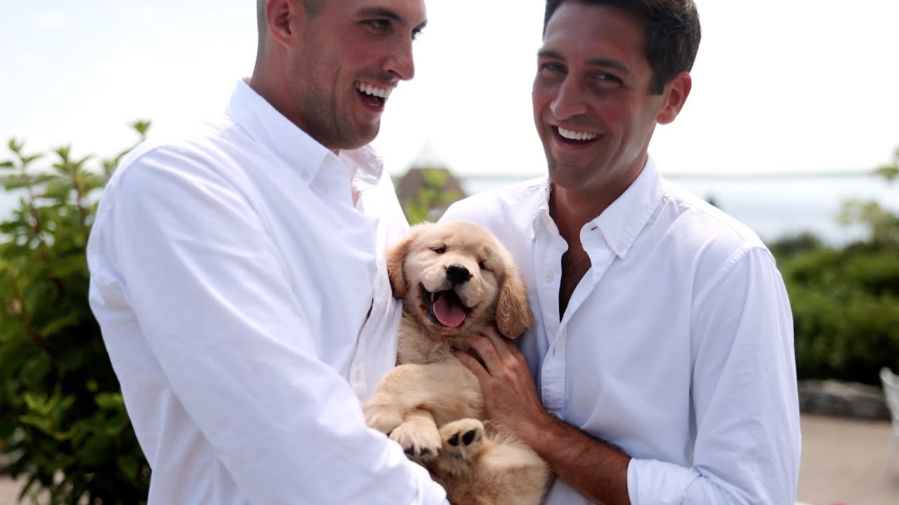 He Surprised His Husband With a PUPPY On Their Wedding Day // Justin ...