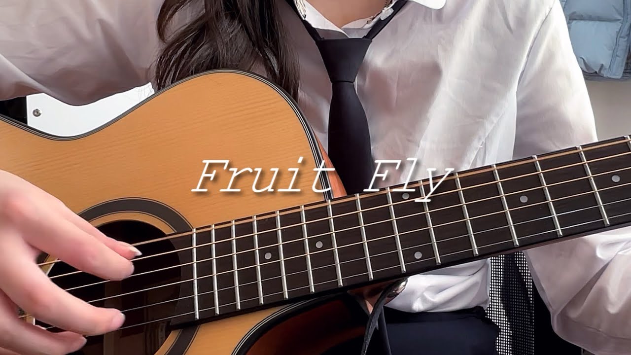 Leah Dou & 검정치마 - Fruit Fly - YouTube